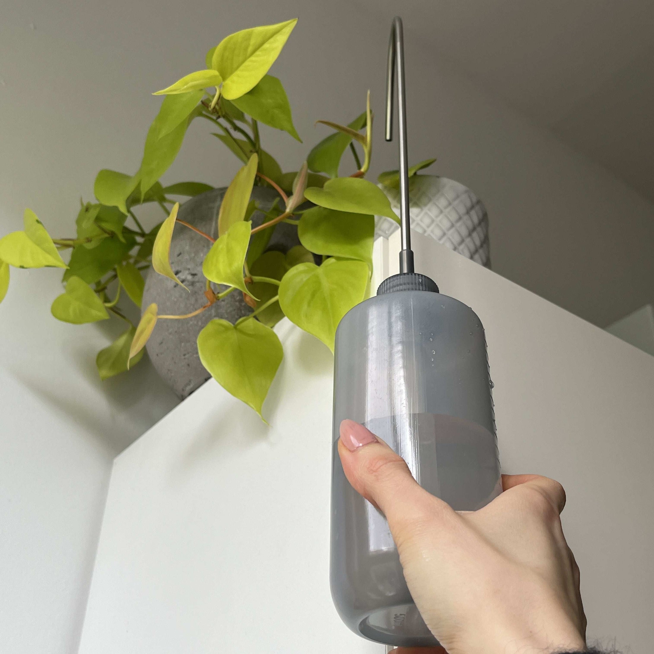 Watering tool for hanging plants – Seedor