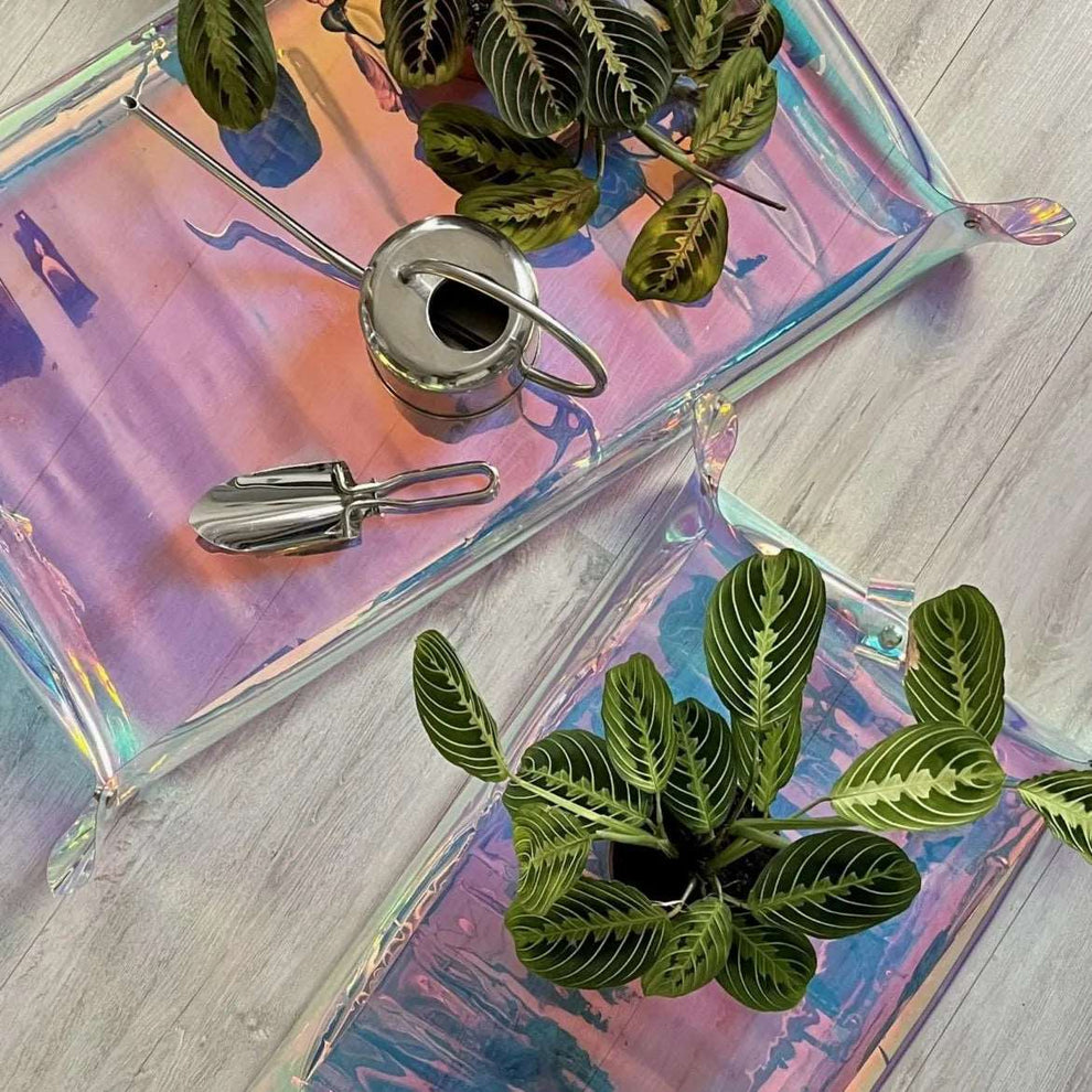 Holographic Potting Mat – Seedor