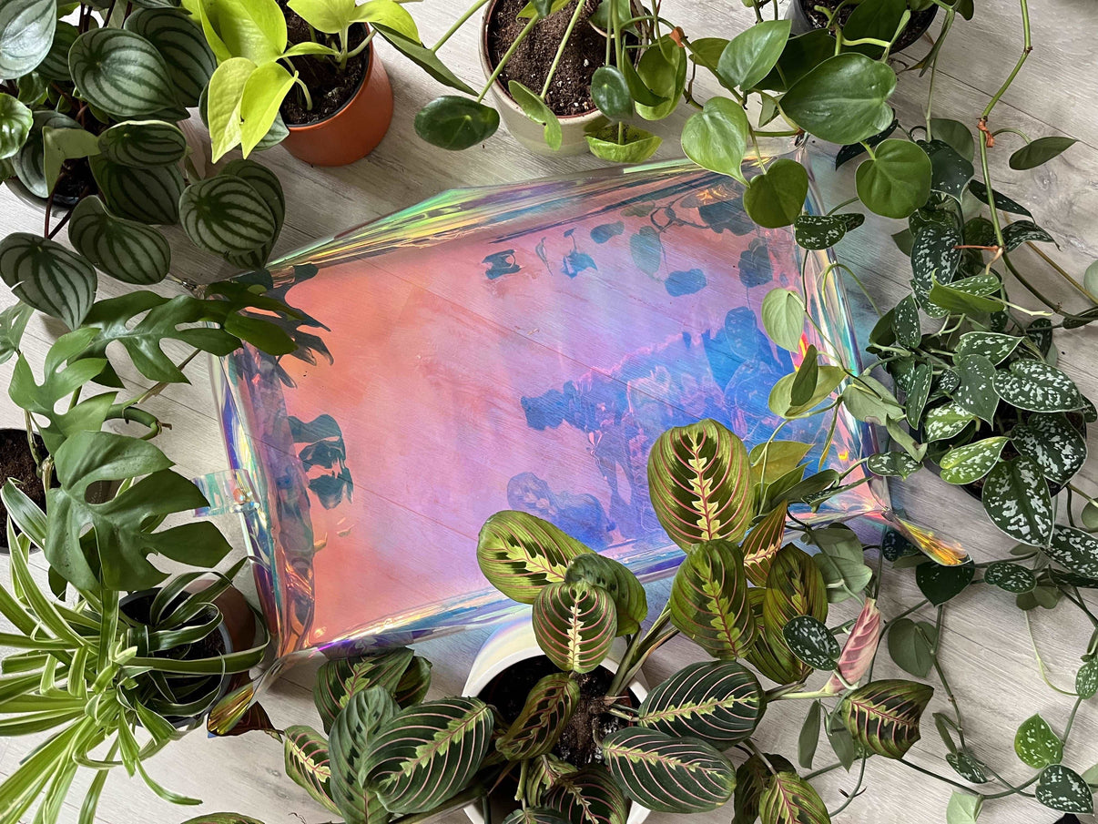 Holographic Potting Mat – Seedor