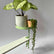 Round Windowsill Clamp Tray for Plants – Seedor