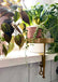 Round Windowsill Clamp Tray for Plants – Seedor